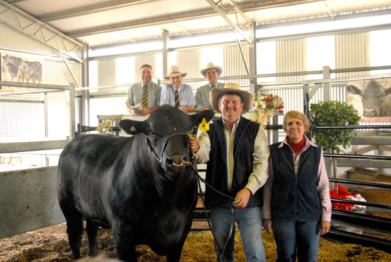 Pine Creek Angus - Homepage - Pine Creek Angus Stud