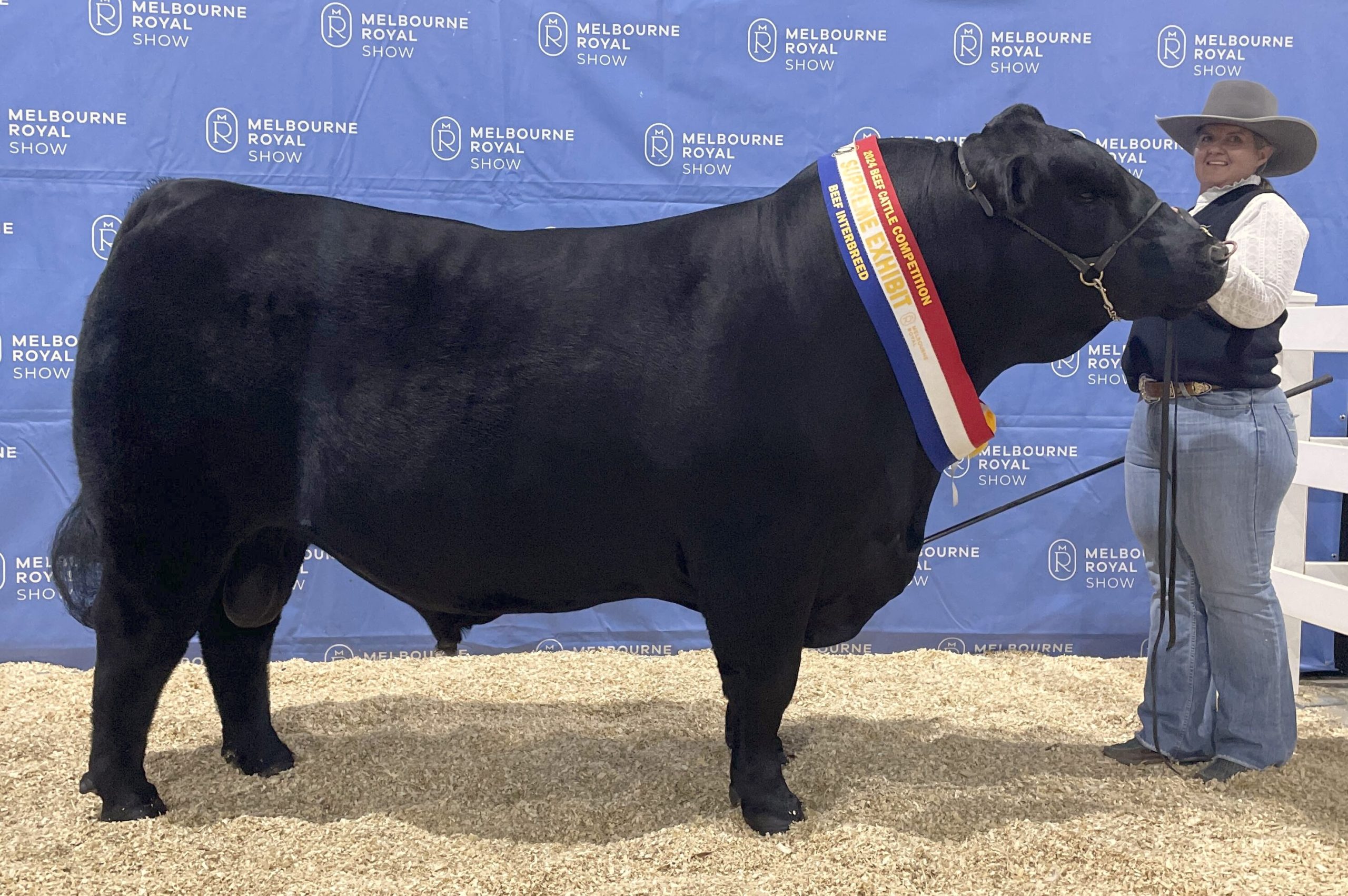 THE 2024 MELBOURNE ROYAL - Pine Creek Angus Stud